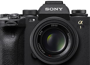 Shop | The Shutterbug